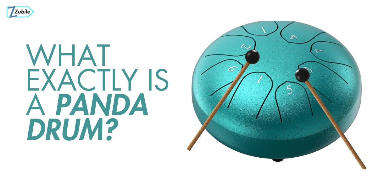 What Exactly Is a Panda Drum? A Beginner’s Guide